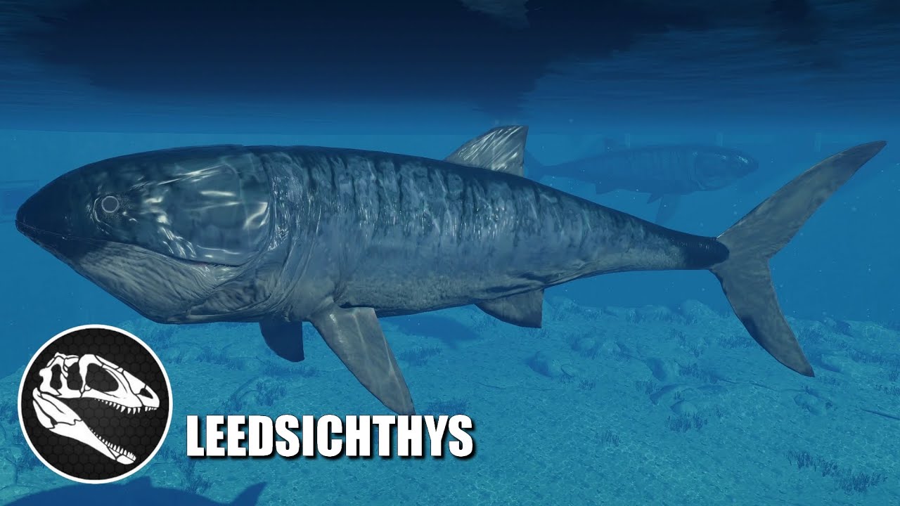 Leedsichthys Compared To Human
