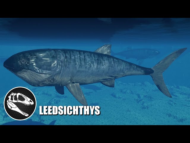 Leedsichthys Vs Megalodon