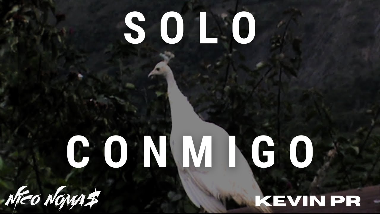 Niconoma$, Kevin Pr - Solo Conmigo (Video Oficial) - YouTube Music