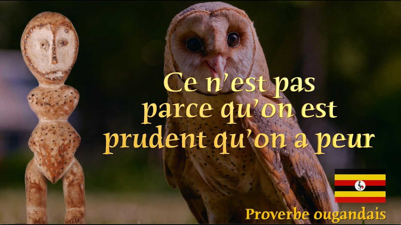 PROVERBE AFRICAIN DU JOUR - Proverbe ougandais - AFRICAN PROVERB OF THE ...