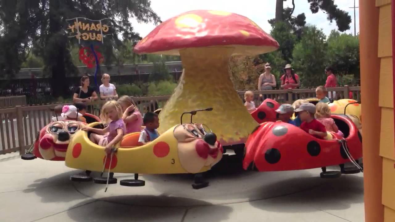 Riding in bugs - YouTube