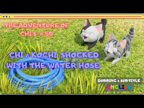 Chi's Sweet Cat Adventure's #Episode50 | Chi & Kochi Shocked With The ...