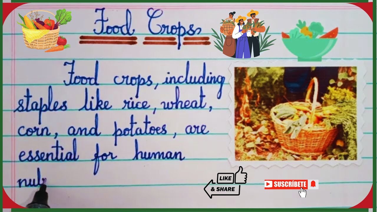 Essay on Food Crops | Few Lines Essay on Food Crops | Essential Food ...