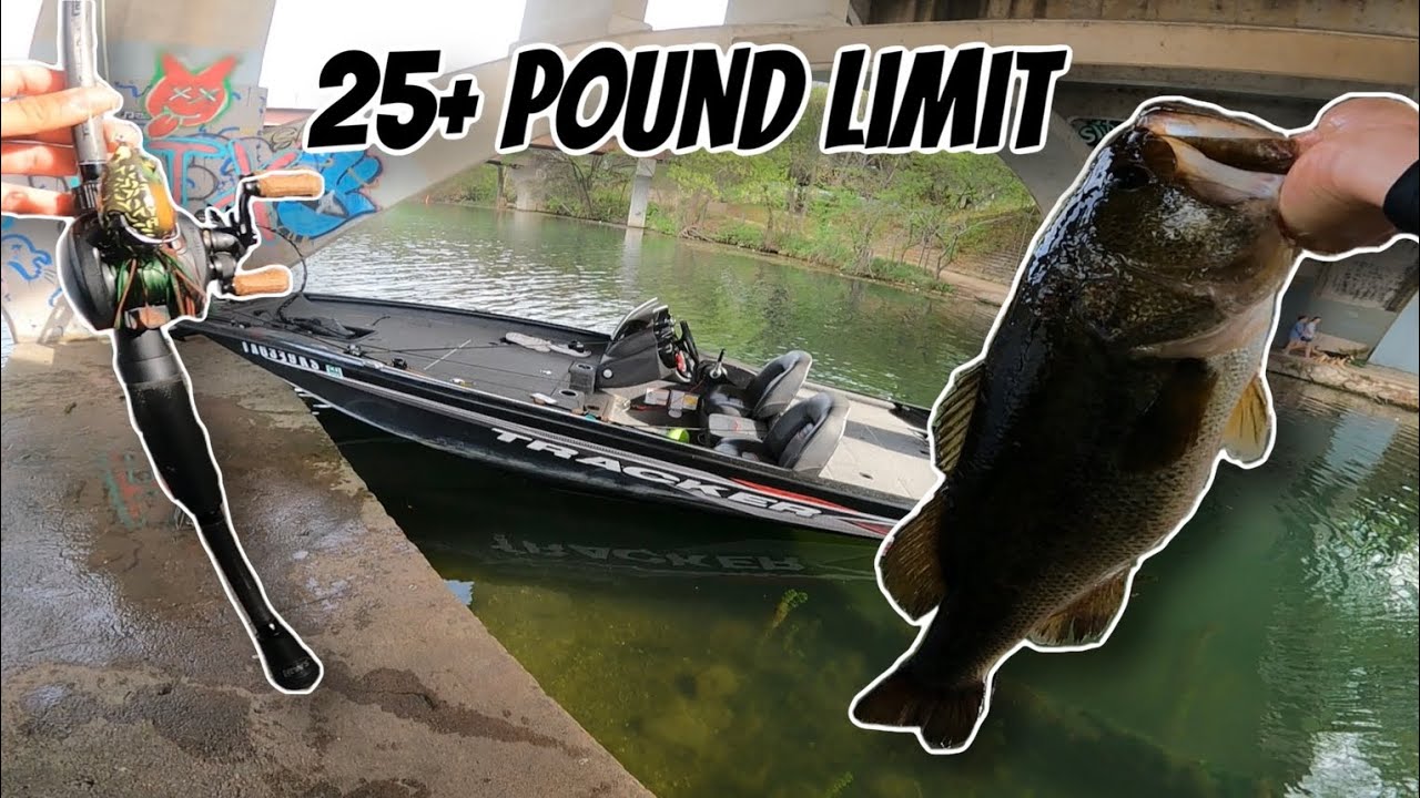 Frog Fishing In URBAN Lakes (25+ pound limit) - YouTube