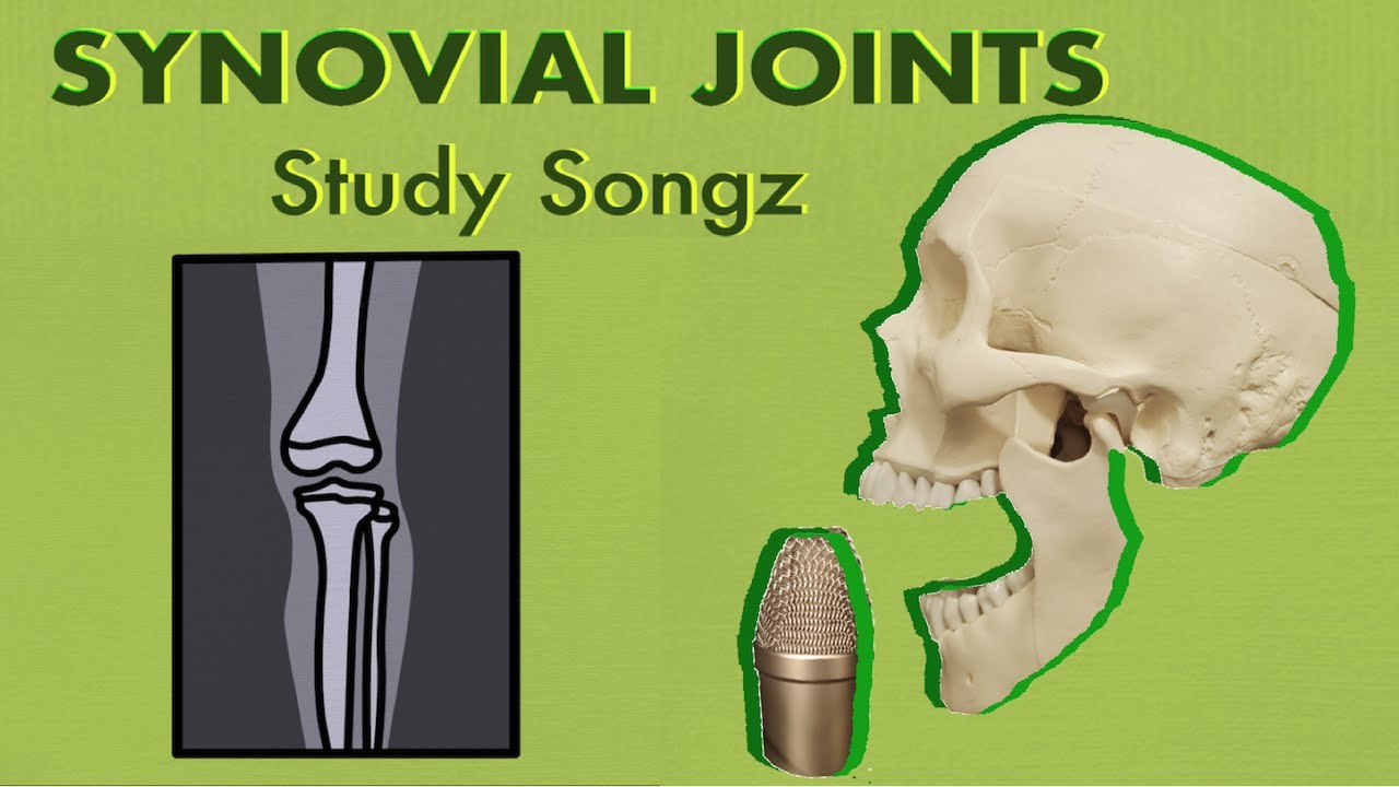 SYNOVIAL JOINTS SONG- Diarthrodial Joints - Study Songz - YouTube