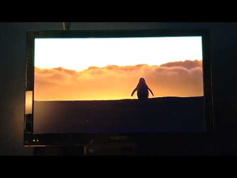 (REUPLOAD) Closing to Baby Van Gogh 2003 DVD