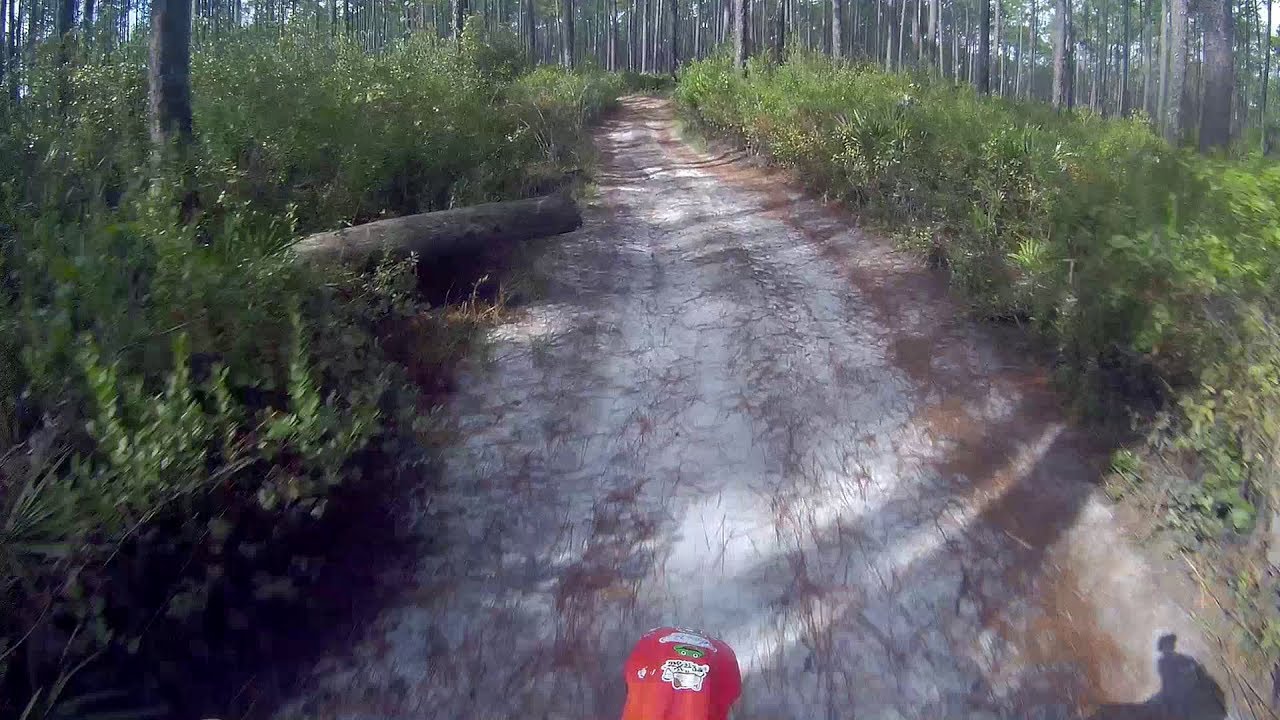Osceola National Forest Dual Sport Trails at Fernando Crawford blog