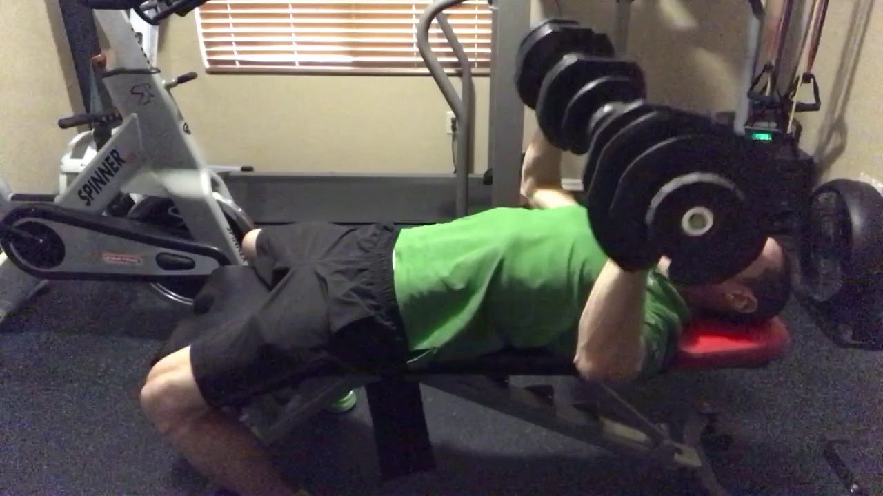 Dumbbell Chest Press Pulse Demo - YouTube