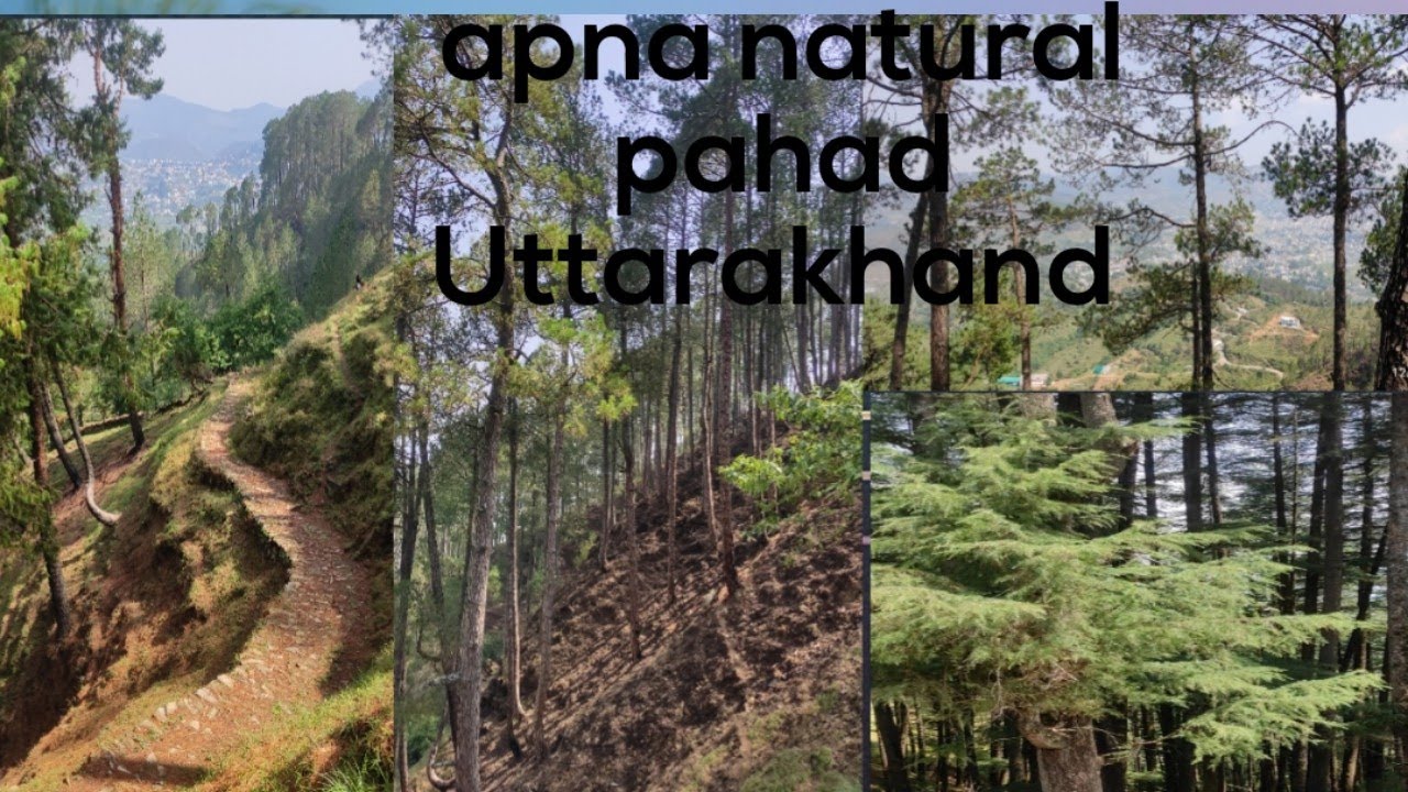 apna natural pahad Uttarakhand Pithoragarh #pahadilifestyle #youtube # ...