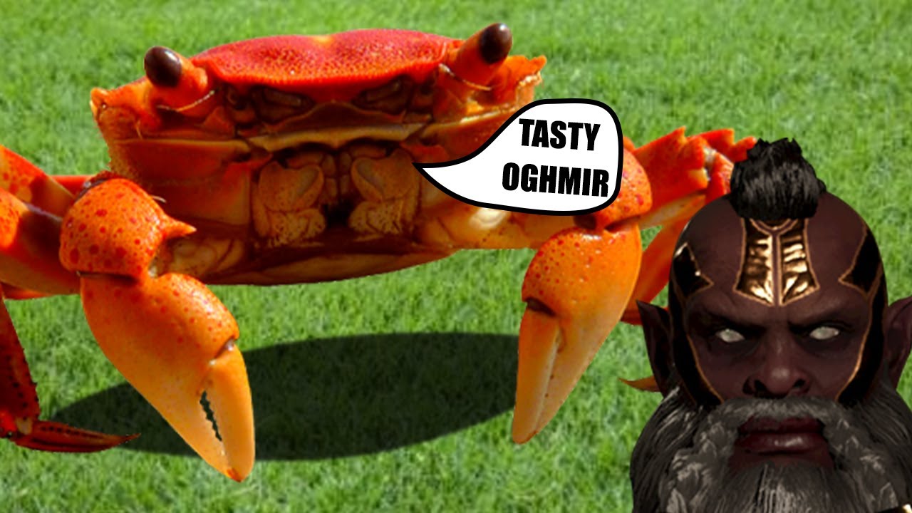 Hammer... Crab Time? @mortalonline - YouTube