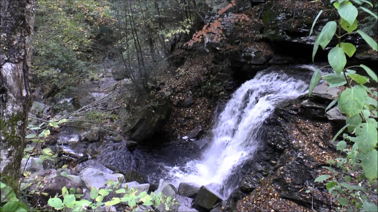 Bear Run Falls, Jamison City, PA - YouTube