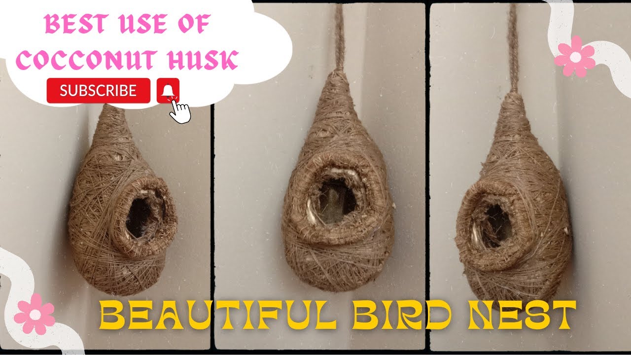 How to Make Beautiful Bird Nest / Babui Bird Nest at home very easy ...