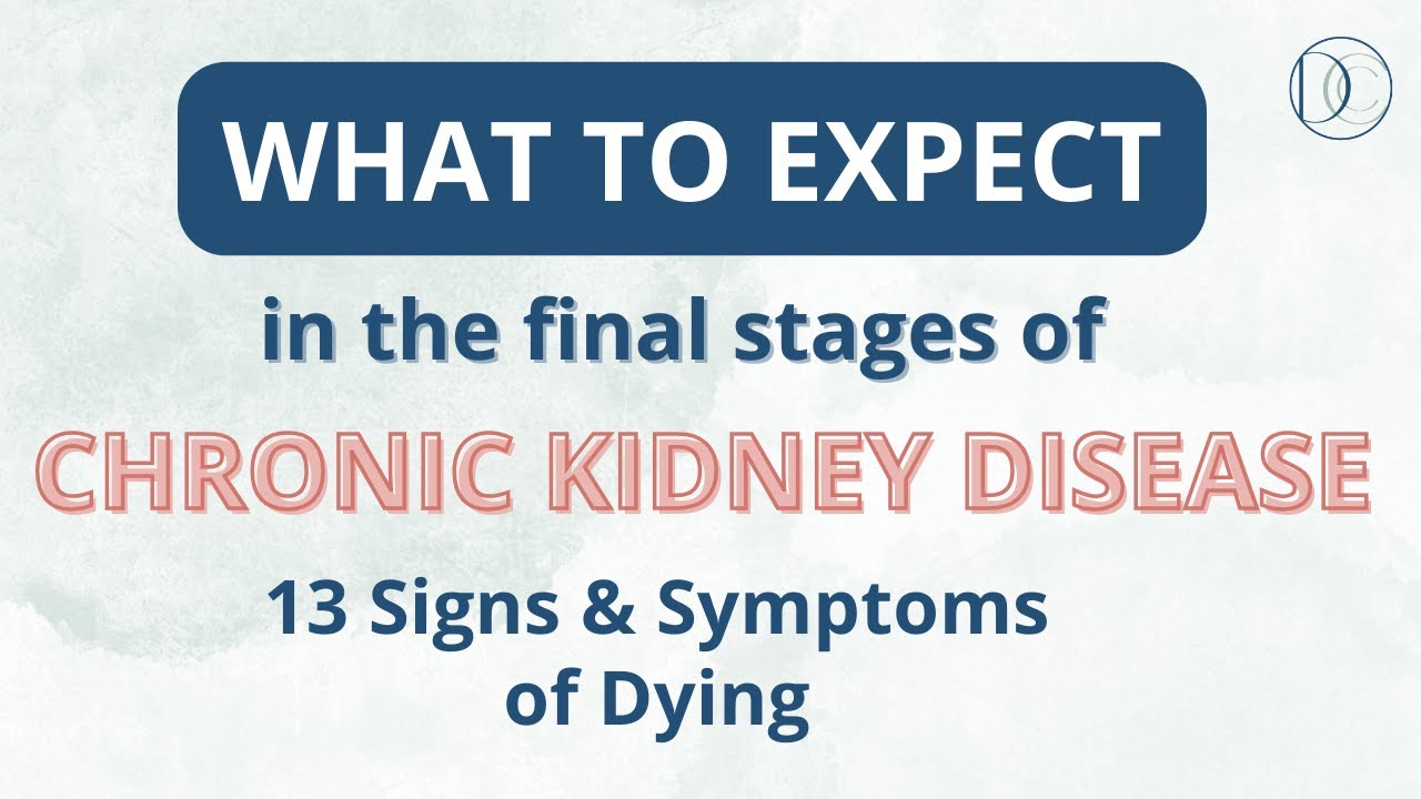 What to Expect in the Final Stages of Chronic Kidney Disease? 13 Signs ...