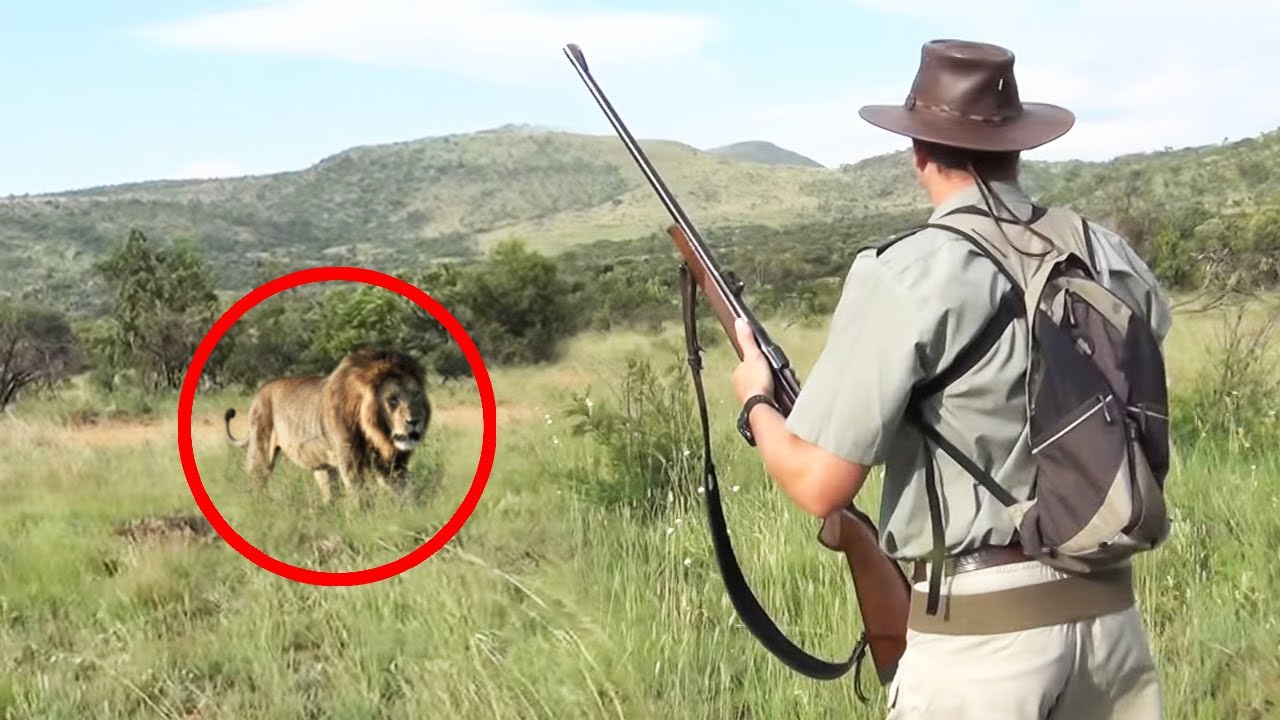 30 Times Park Rangers Messed With The Wrong Animals - YouTube