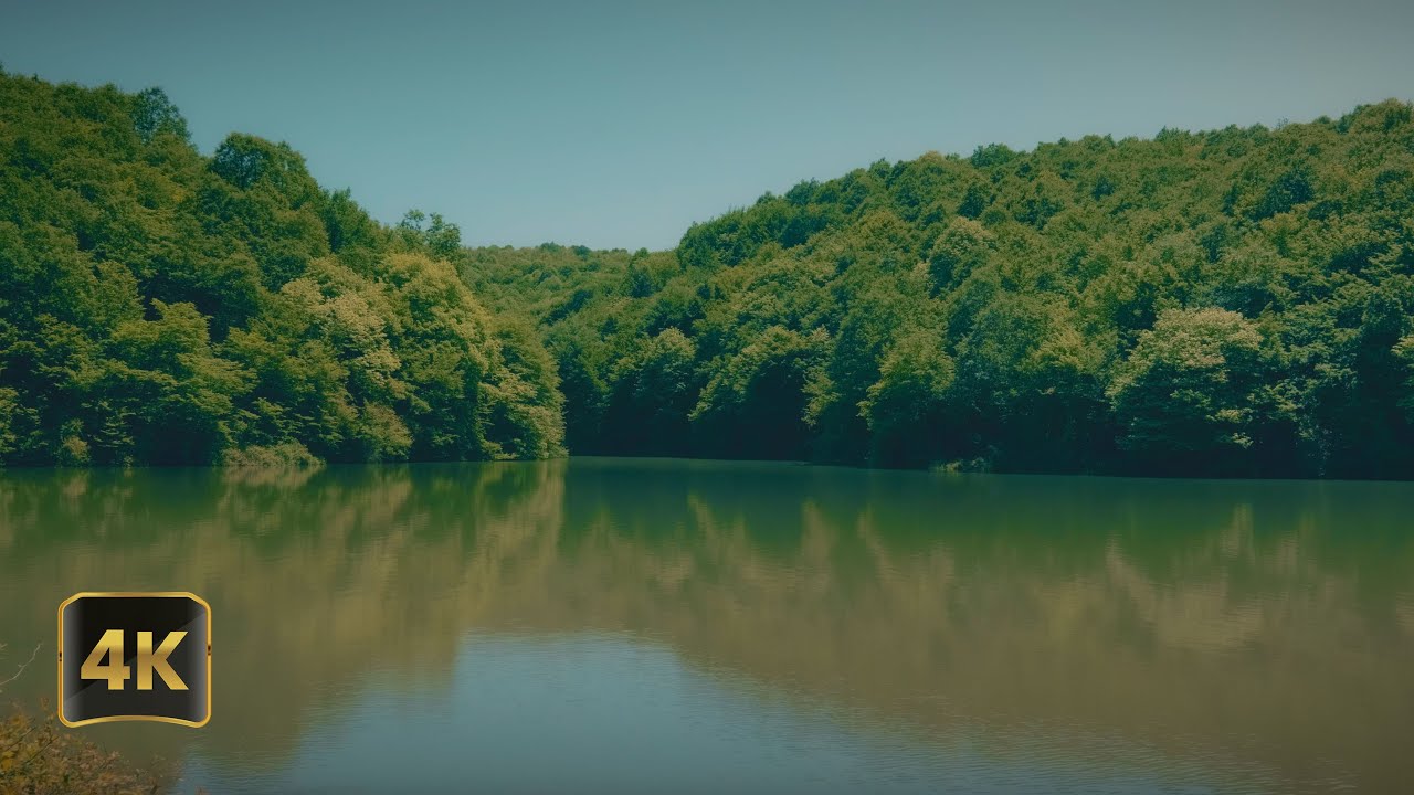 Lake Dreamland: Fall Asleep or Focus on Study with a Relaxing Lake View ...