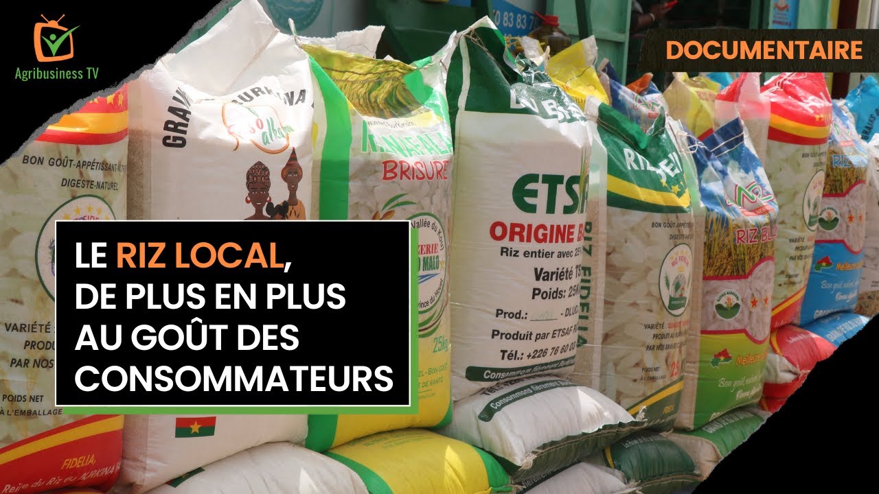 Burkina Faso : Le riz local, de plus en plus au goût des consommateurs ...