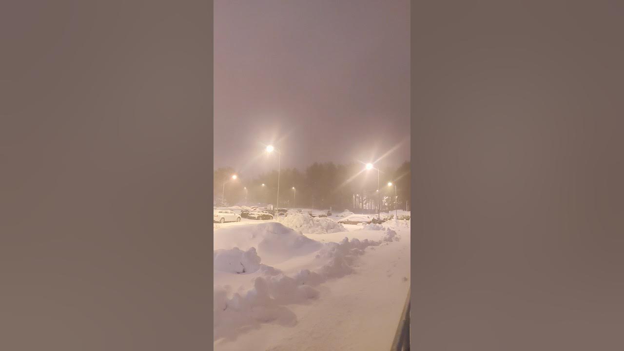 #heavysnow #blizzard #coldwinds #snow #winter #tallinn #foryou #shortvideo #night - YouTube