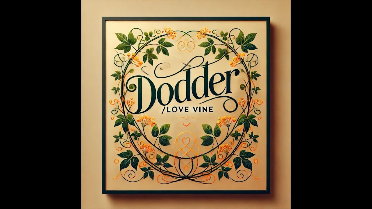 Love Vine, Dodder seed, Tu Su Zi Amazing vine that grows everywhere in Florida and the Caribbean ...