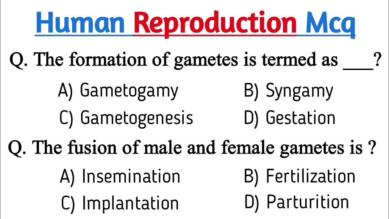 Human reproduction mcq | Human reproduction | Reproductive system mcq ...