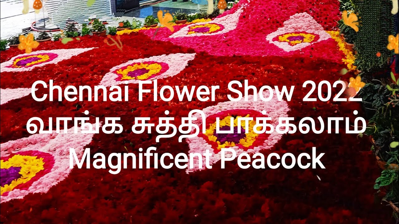 Chennai Flower Show 2022 -Part 2 - Magnificent Peacock Flower design ...