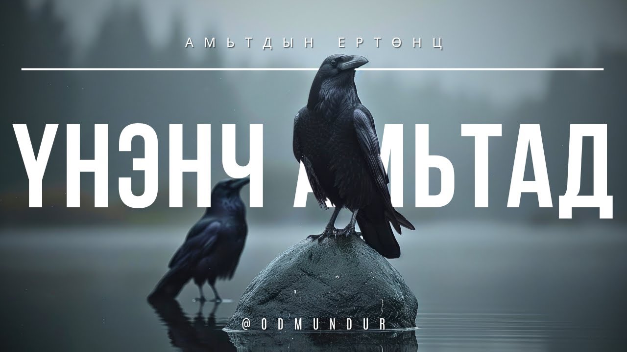Хамгийн үнэнч амьтад АМЬТДЫН ЕРТӨНЦ Youtube