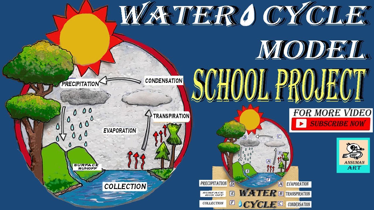Water Cycle Model With Thermocol YouTube water-cycle-model-with-thermocol-youtube