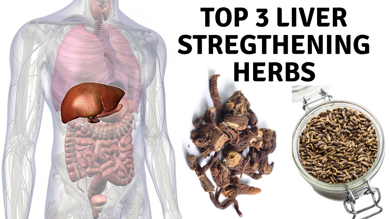 the Secret to Optimal Liver Health: Discover the 3 Herbs You NEED ...