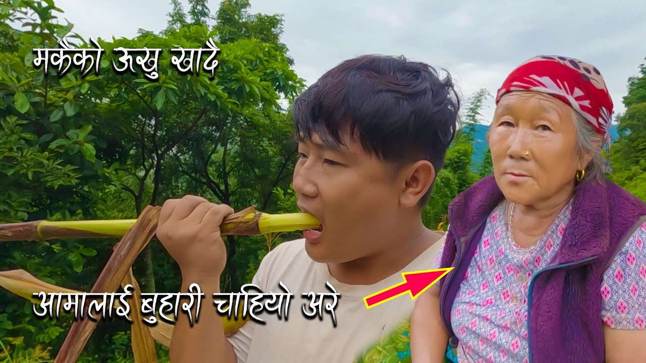 Aamako Daily Demand Buhari chahiyo||Makaiko ukhu Khadai ...