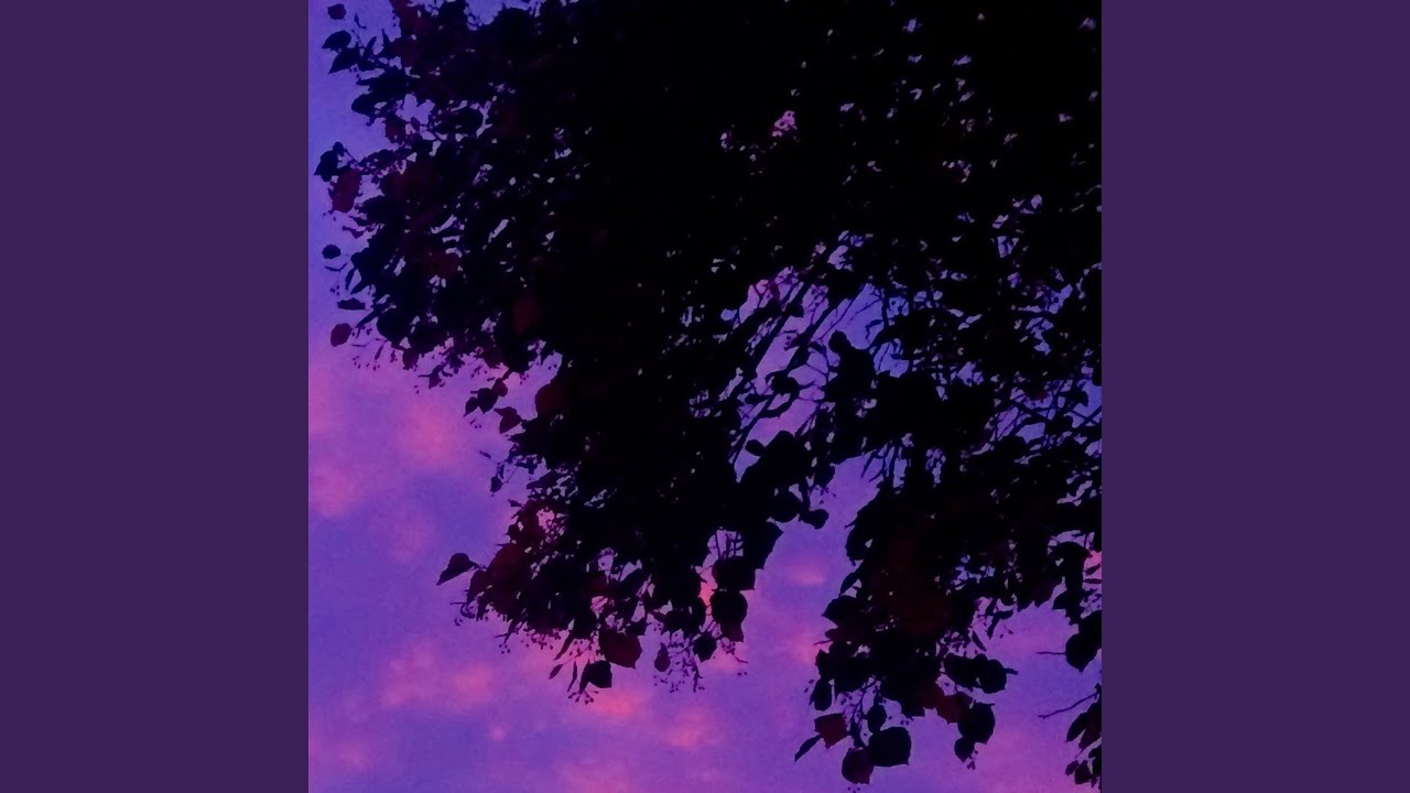 Aura Of The Trees - YouTube