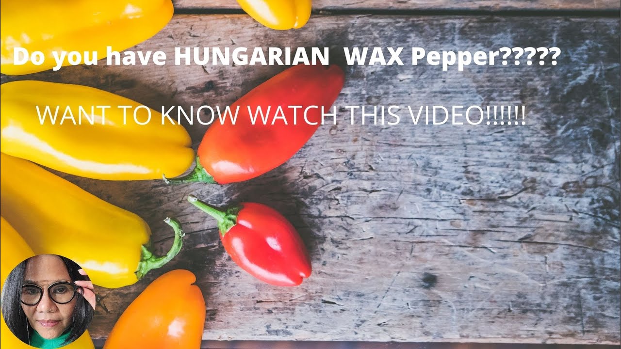 EP. 123 How to make a Hungarian pepper to make a delicious dinner # ...