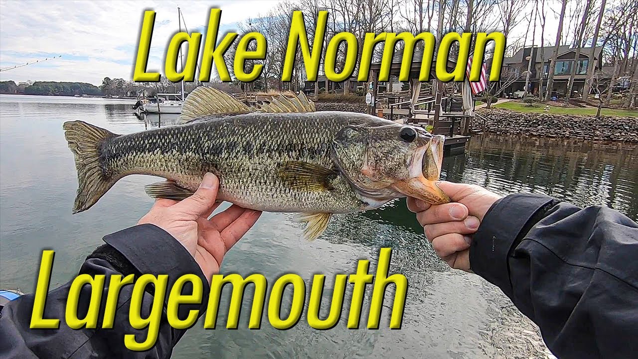My First Lake Norman Largemouth - YouTube
