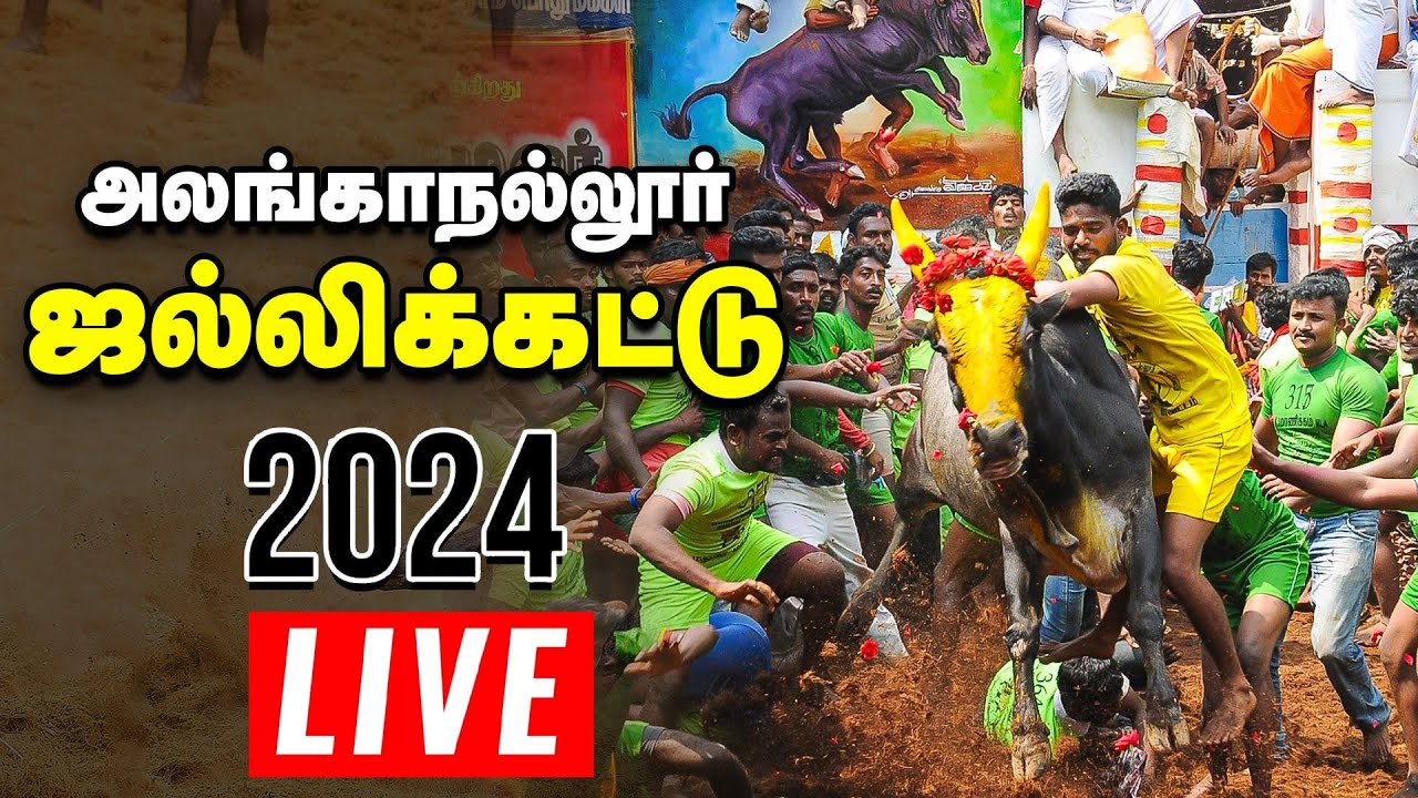 Alanganallur Jallikattu 2024