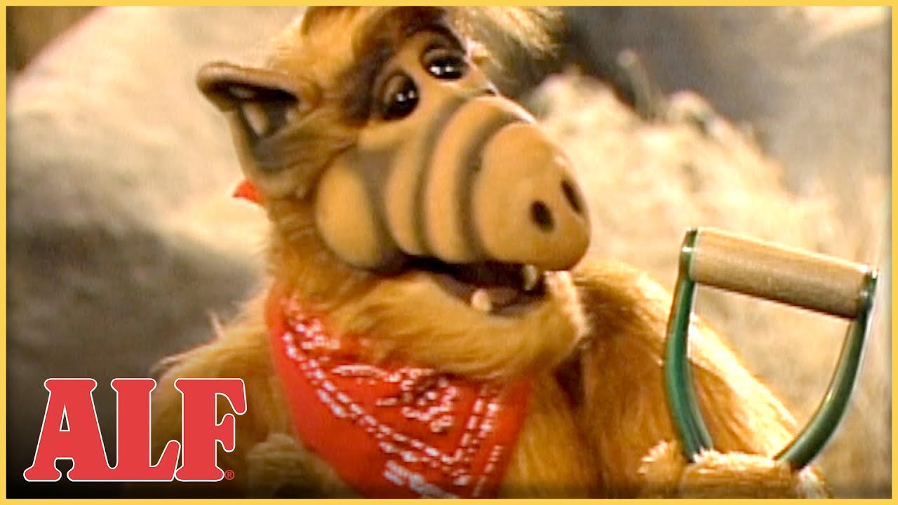 ALF & Willie Search for Buried Treasure 💎 | S4 Ep20 Clip - YouTube