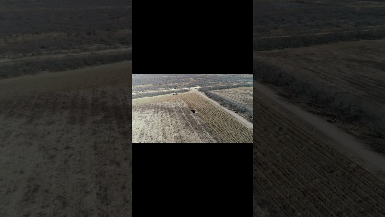 Drone view of root plowing field 1. - YouTube