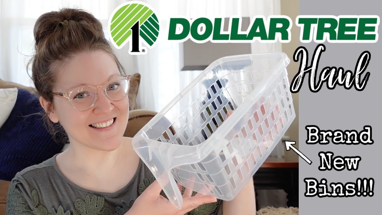 DOLLAR TREE | HAUL | NEW BINS | NEW FINDS | APRIL 2021! - YouTube