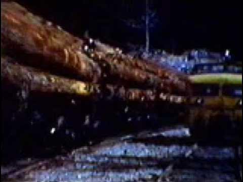 Conway Logging 4 - YouTube