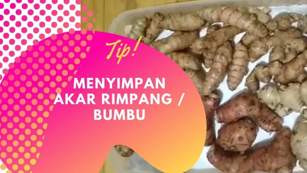 Tip Menyimpan Akar Rimpang / Rimpang / Bumbu - YouTube