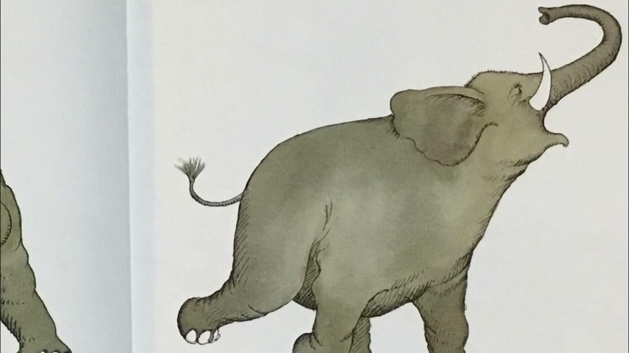 Mr McGee and the Elephants - Pamela Allen - YouTube