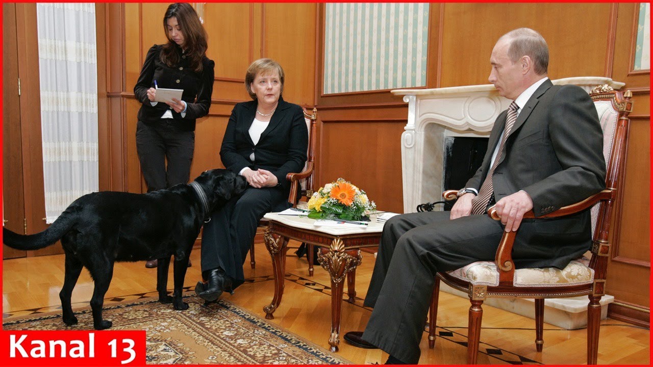 Putin responds to question on Merkel's memoir, denying he intentionally ...