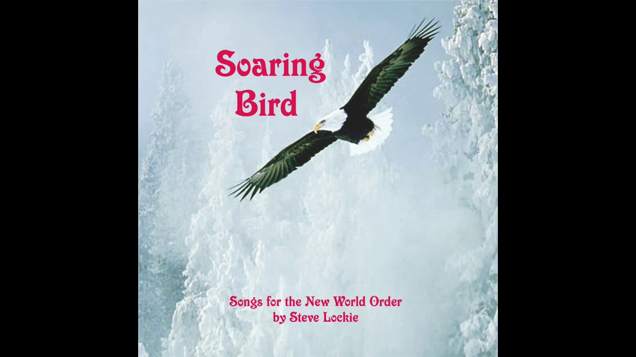 The Betterment Of The World - Steve Lockie - YouTube