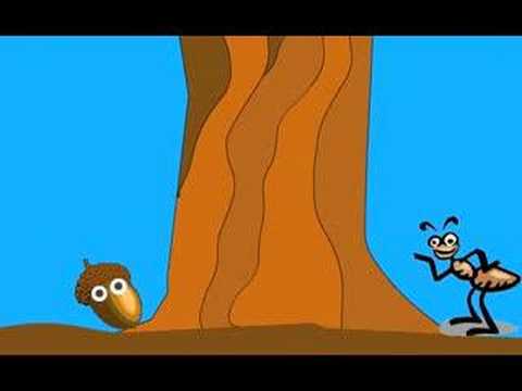 Stupid Acorn - YouTube