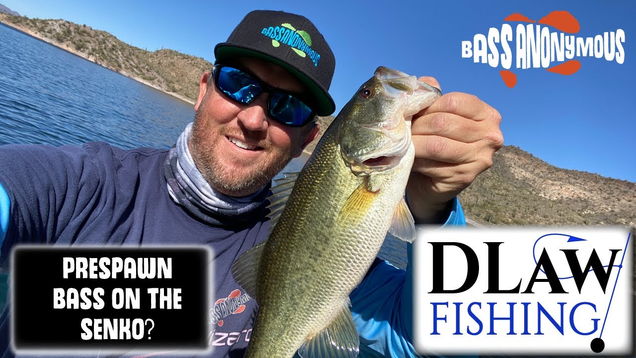 Prespawn Bass On The Wacky Senko? (Episode 19) - YouTube