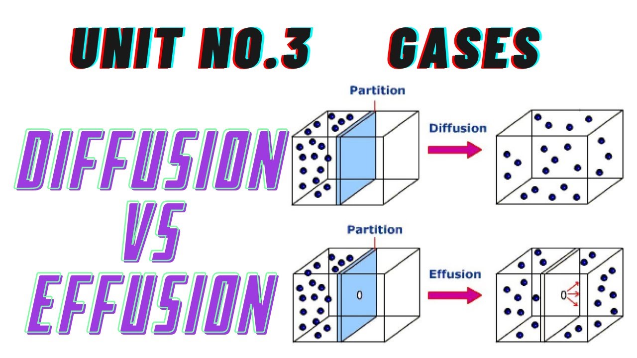 Diffusion and Effusion in Hindi/Urdu|Diffusion Vs Effusion|Difference ...