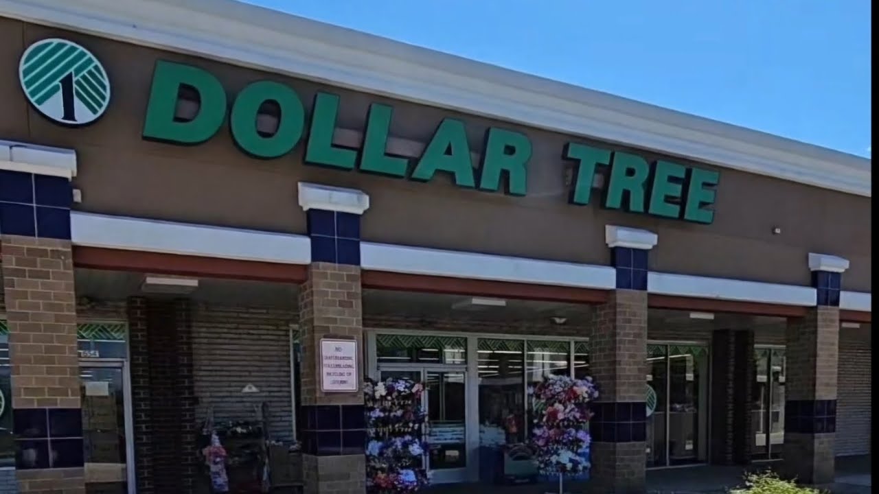 DOLLAR TREE TRIP 🌳 - YouTube