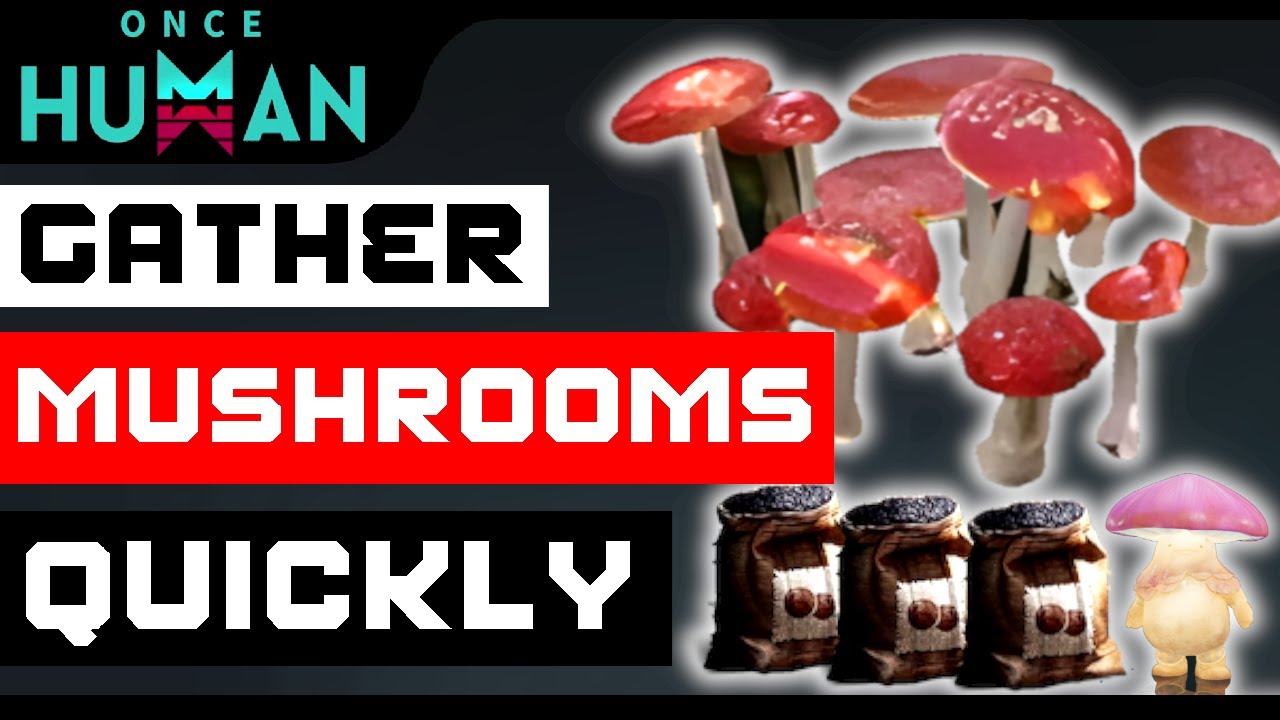 Once Human: Mushroom & Seeds 40+ Per Run (Manibus) - YouTube