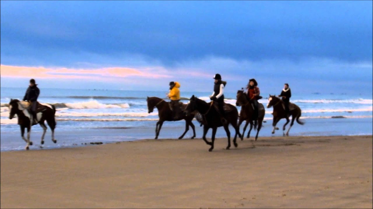 SUNSHINE STABLES 初日の出外乗 2015 - YouTube