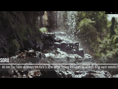 Ali bin Ebu Talib ve Ubeyy bin Ka'b (r.a)'ın tefsir ilmine katkıları ile alakalı bilgi (192)
