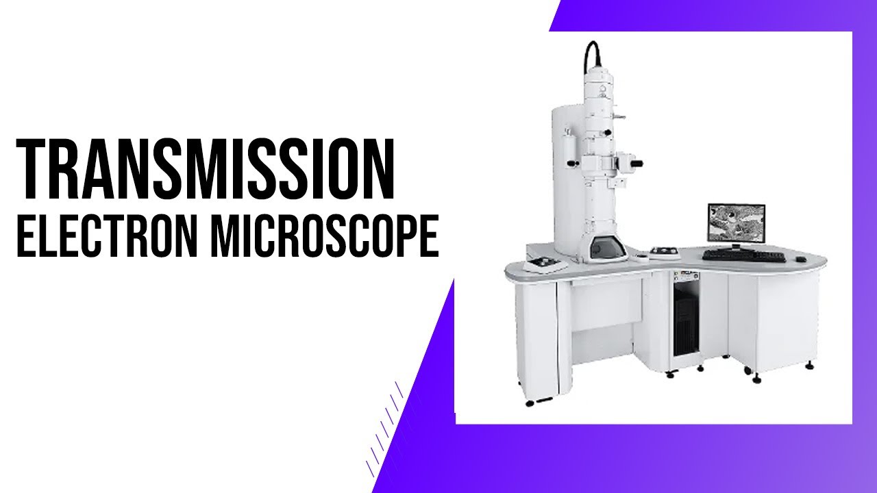 What is " Transmission Electron Microscope " ? - YouTube