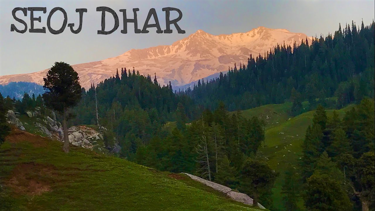 SEOJ DHAR | UDHAMPUR | J&K - YouTube
