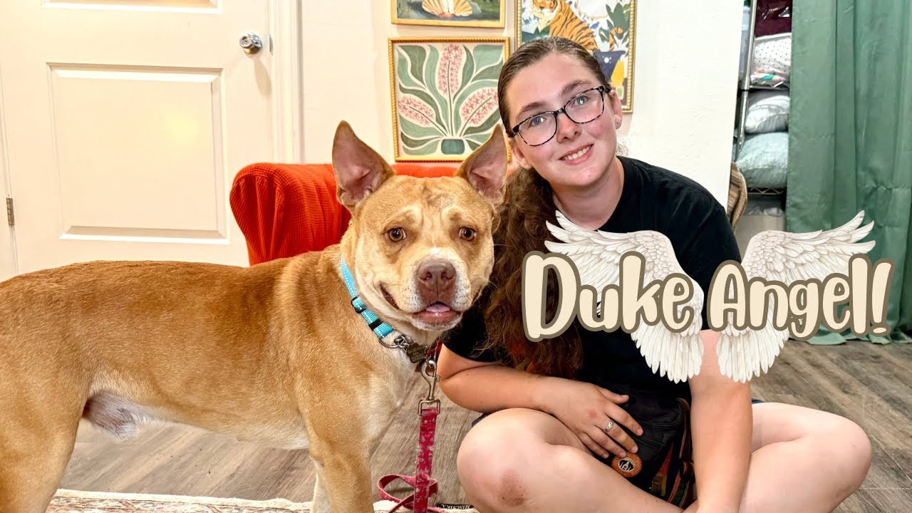 Duke Angel is an actual angel - YouTube